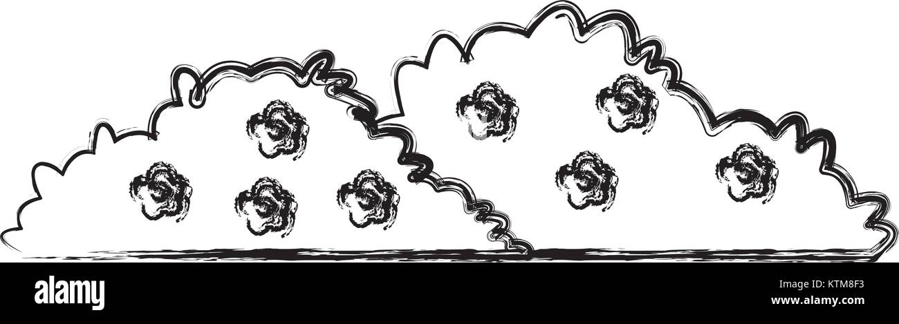 Bush isolated symbol icon vector illustration graphic design Stock ...