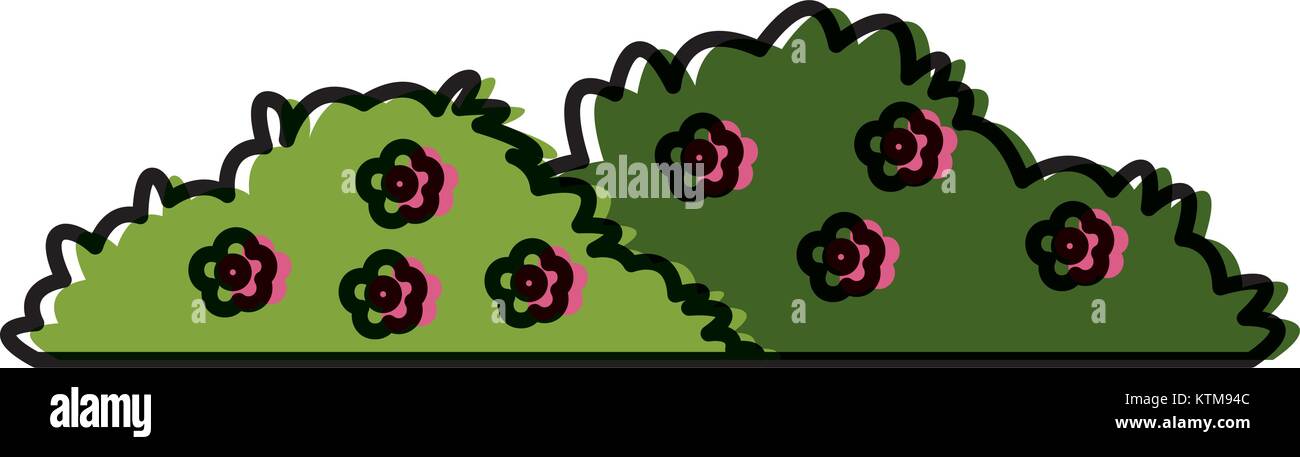 Bush isolated symbol icon vector illustration graphic design Stock ...