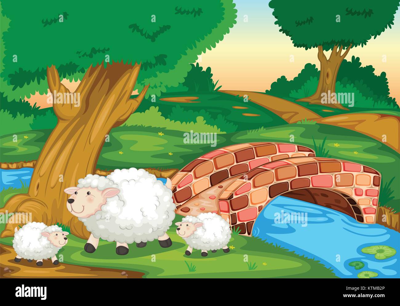 Illustration of sheep in field Stock Vector Image & Art - Alamy