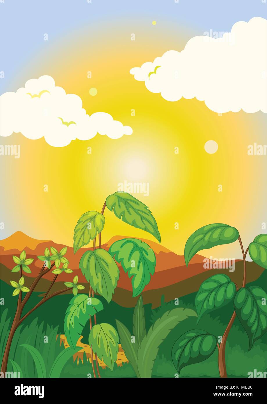 Illustration of plant background with sun Stock Vector Image & Art - Alamy