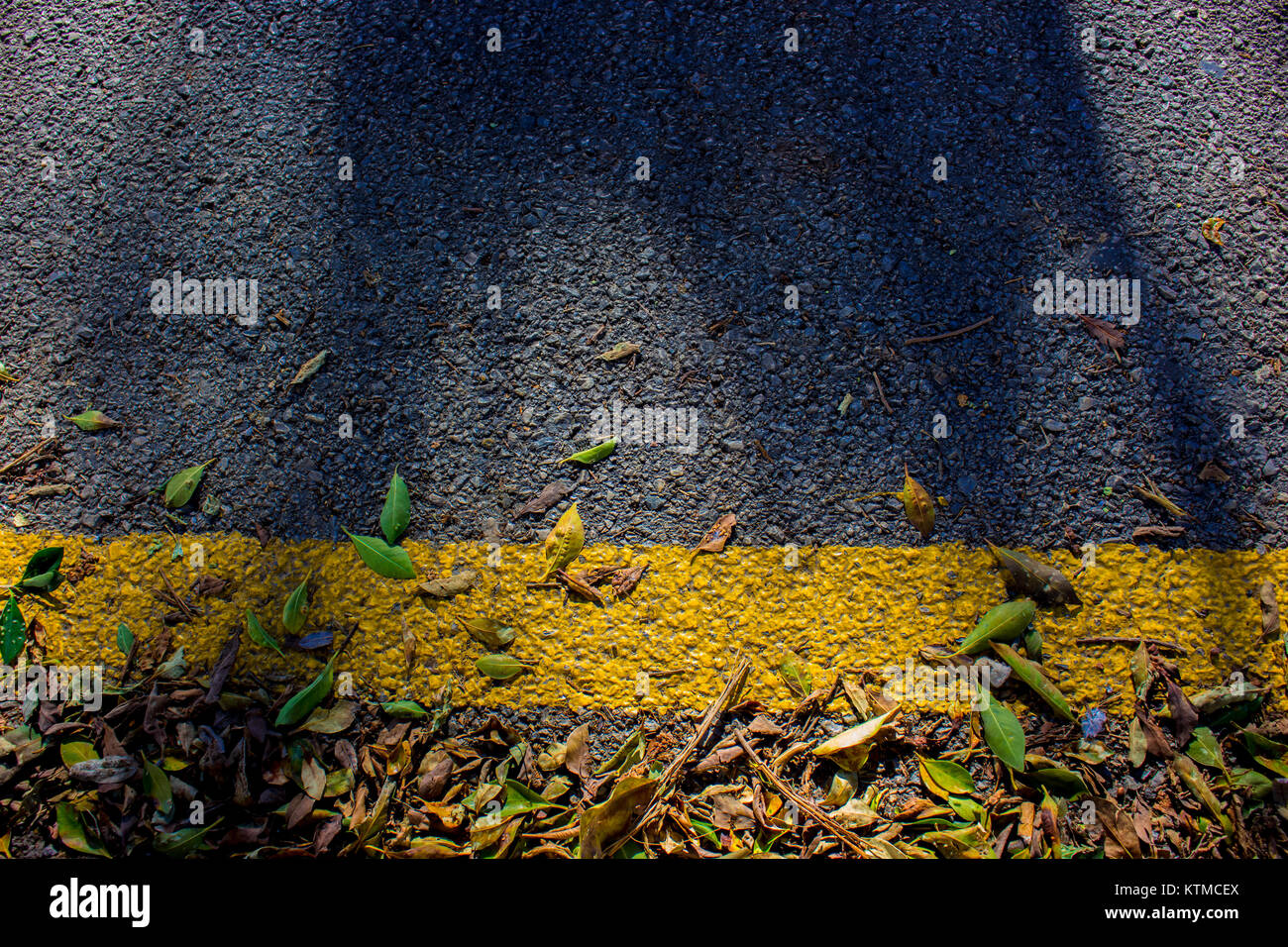 Yellow line. Yellow line, fallen leaves and shadow Stock Photo - Alamy