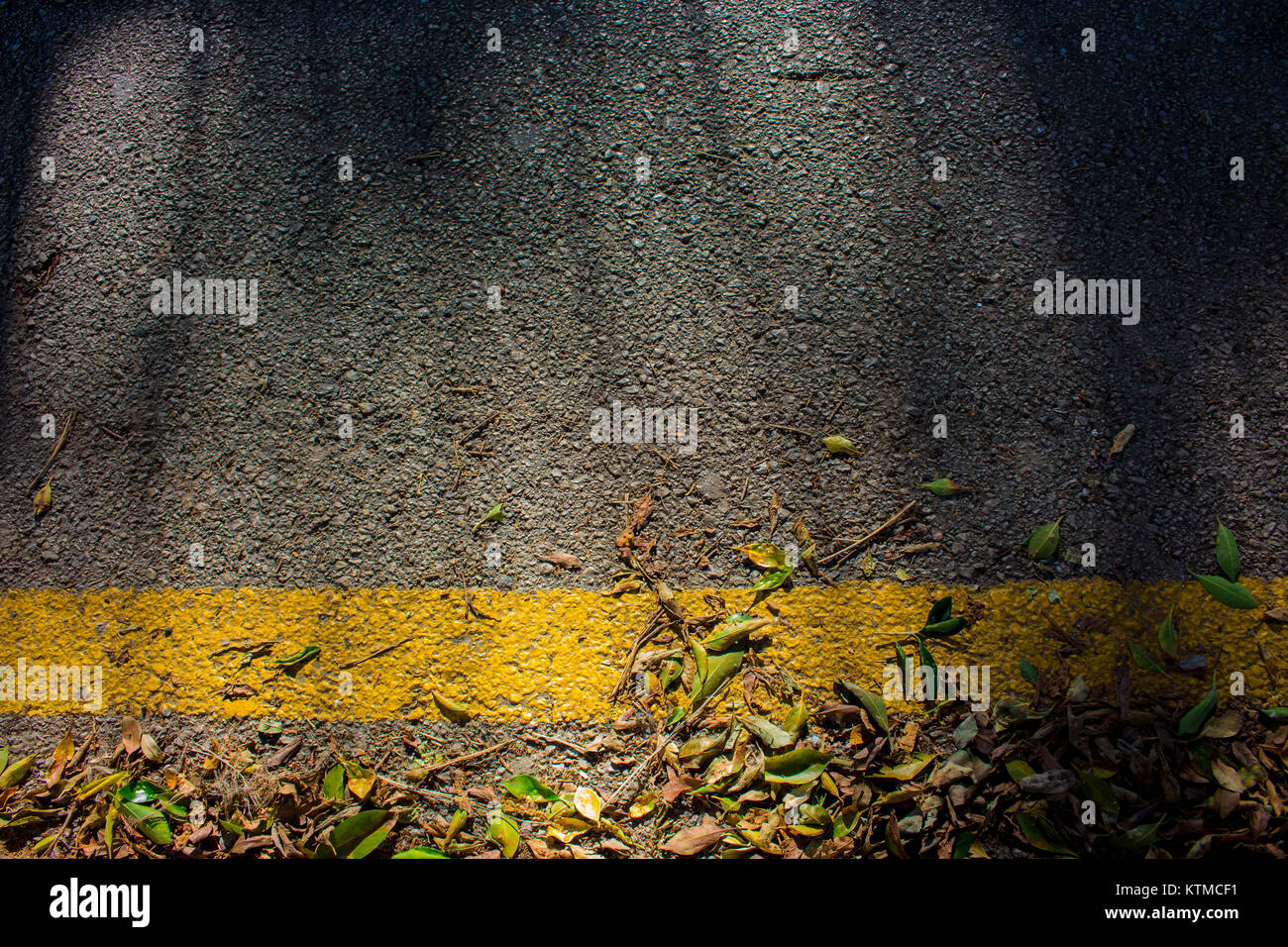 Yellow line. Yellow line, fallen leaves and shadow Stock Photo - Alamy