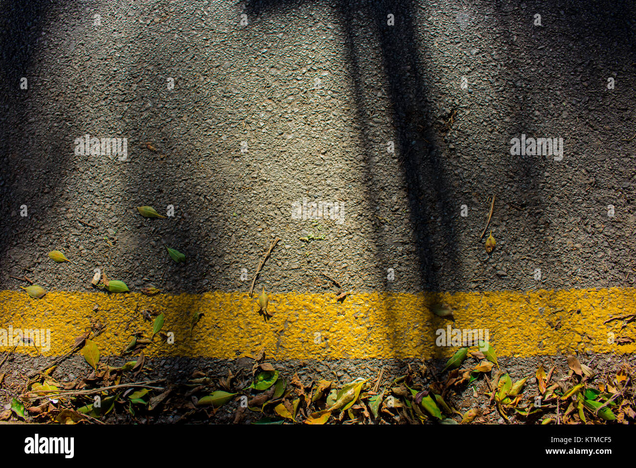Yellow line. Yellow line, fallen leaves and shadow Stock Photo - Alamy