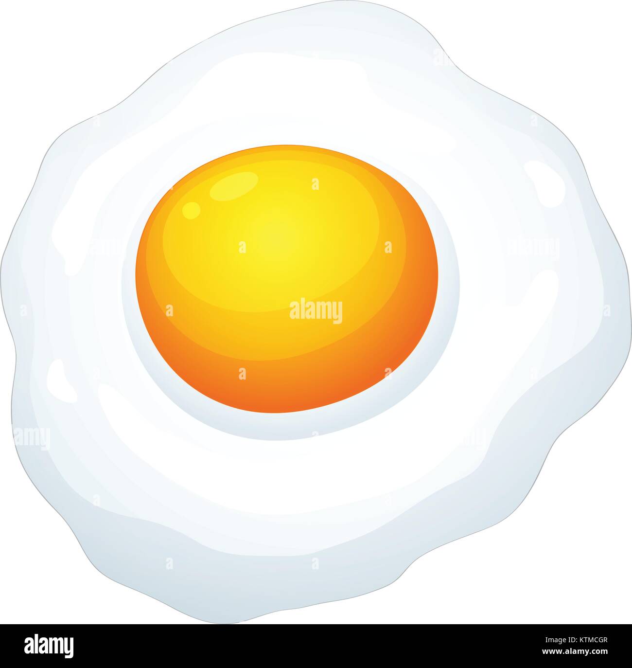 illustration of an egg omlet on a white background Stock Vector Image ...