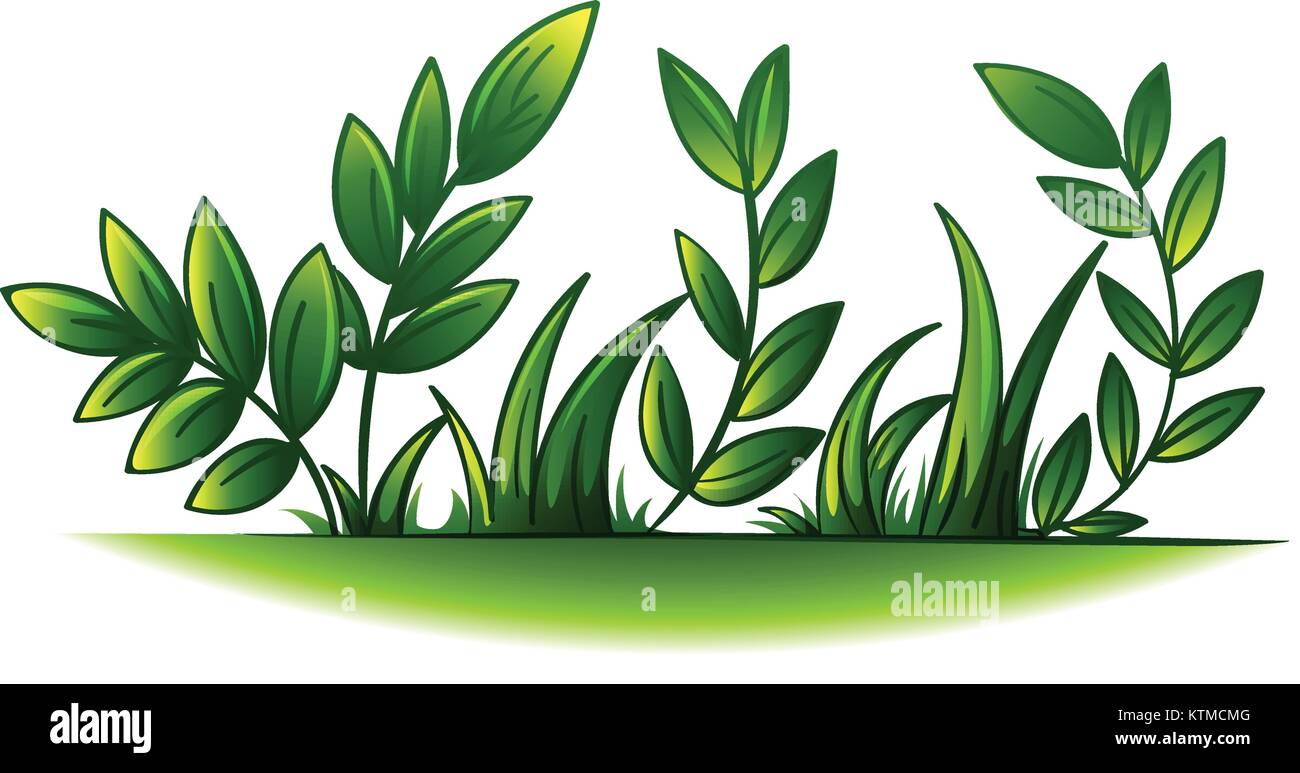 Illustration of a plant element Stock Vector Image & Art - Alamy