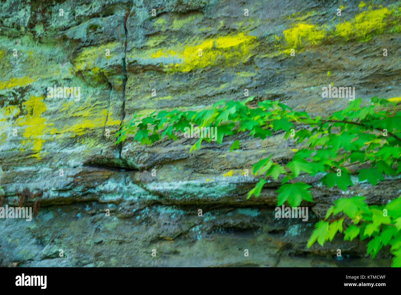 Bohemian Switzerland National Park, Czech Republic, Europe Stock Photo ...