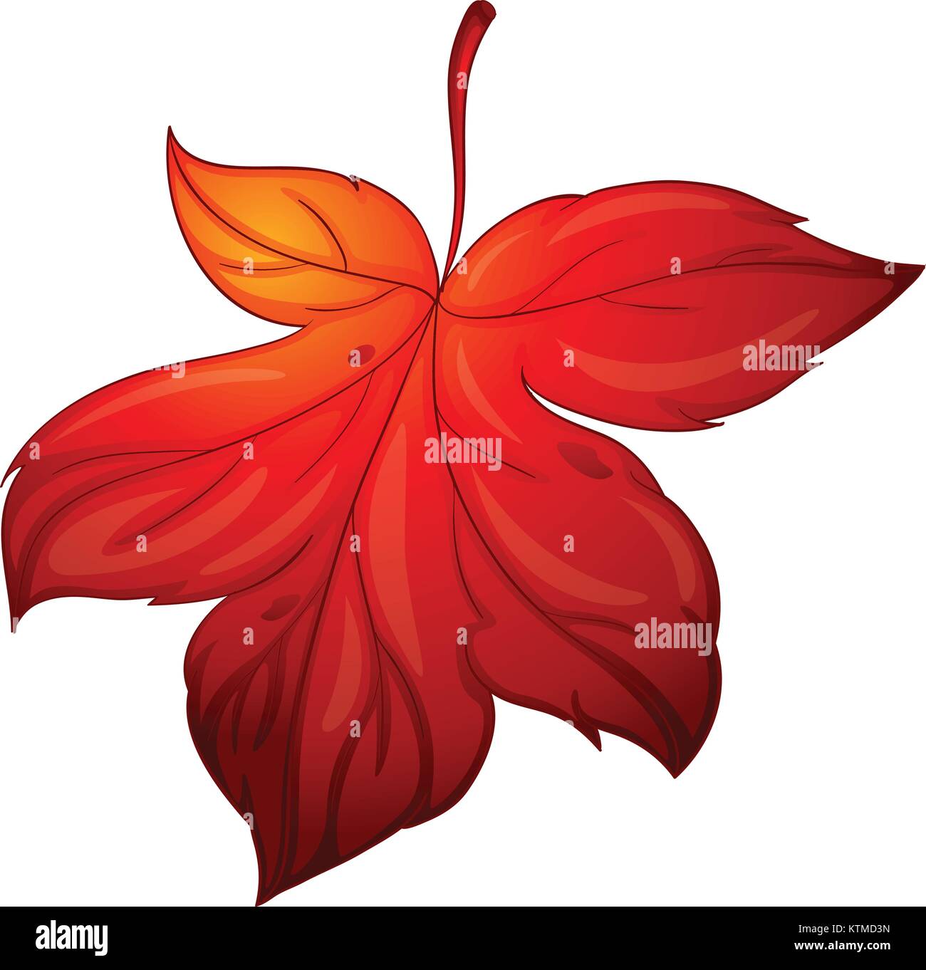 illustration of red mapple leaf on white background Stock Vector Image ...
