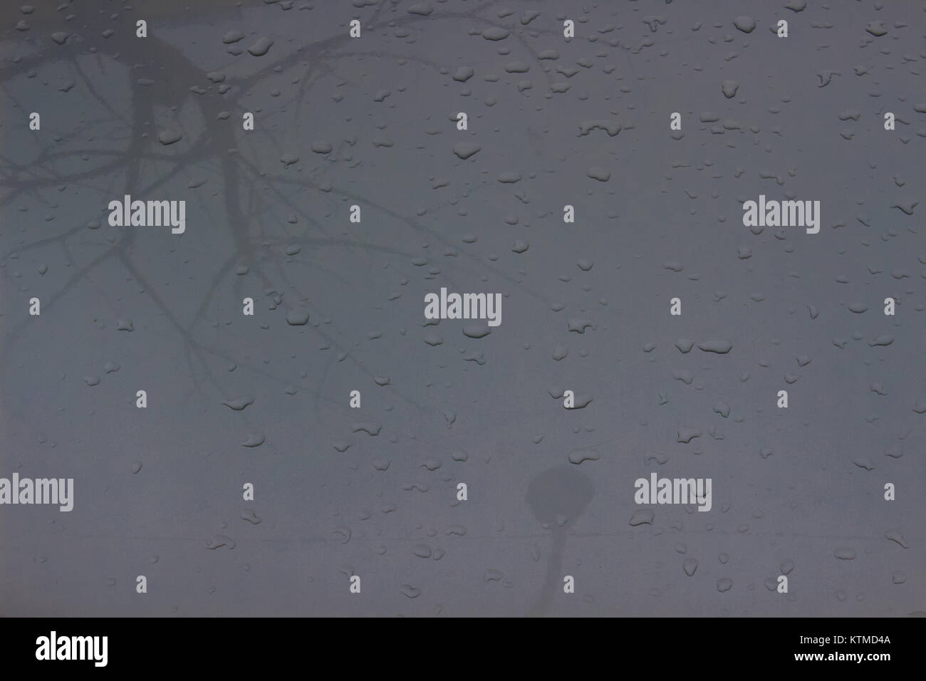 Drops. Reflection on the hood of the car. After the rain Stock Photo ...