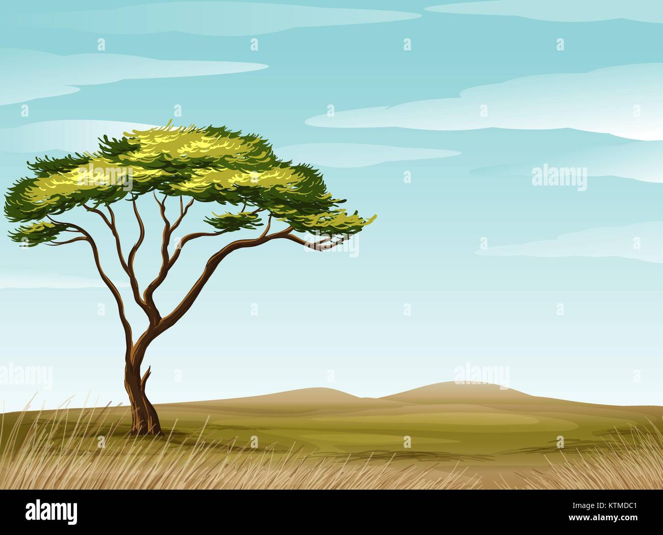 illustration of a savannah landscape Stock Vector Image & Art - Alamy