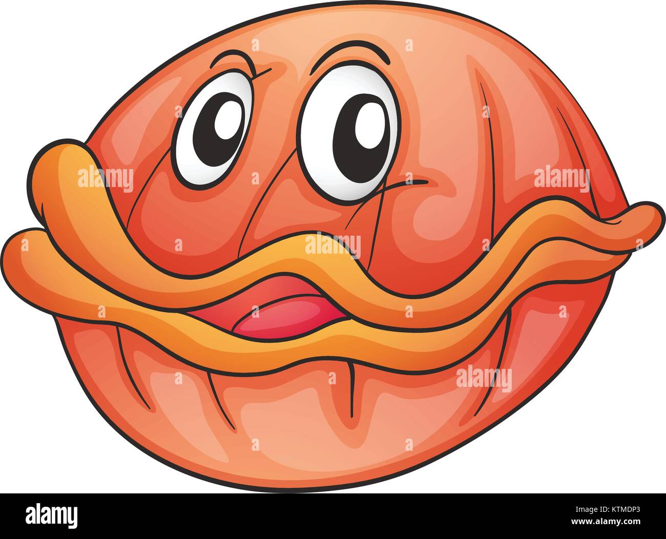 illustration of a shell fish on a white background Stock Vector Image ...
