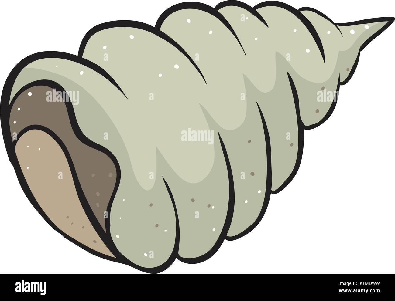 illustration of a conch shell on a white background Stock Vector Image ...