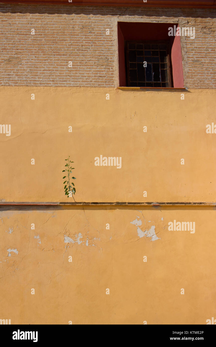 Facade. The facade of the house, the details of the decor. Malaga ...