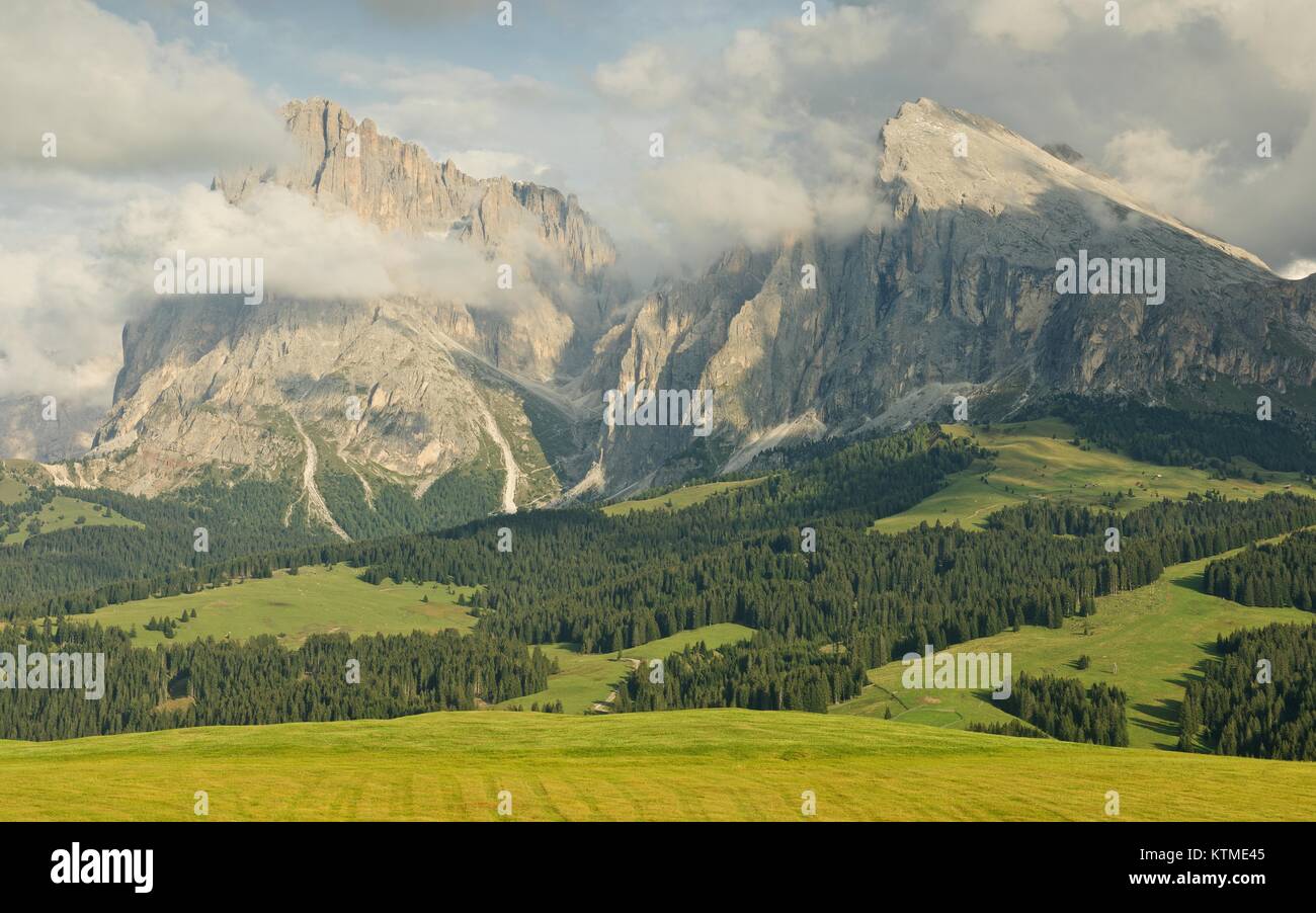 This image was taken at the bottom of the famous meadow on the Alpe di ...