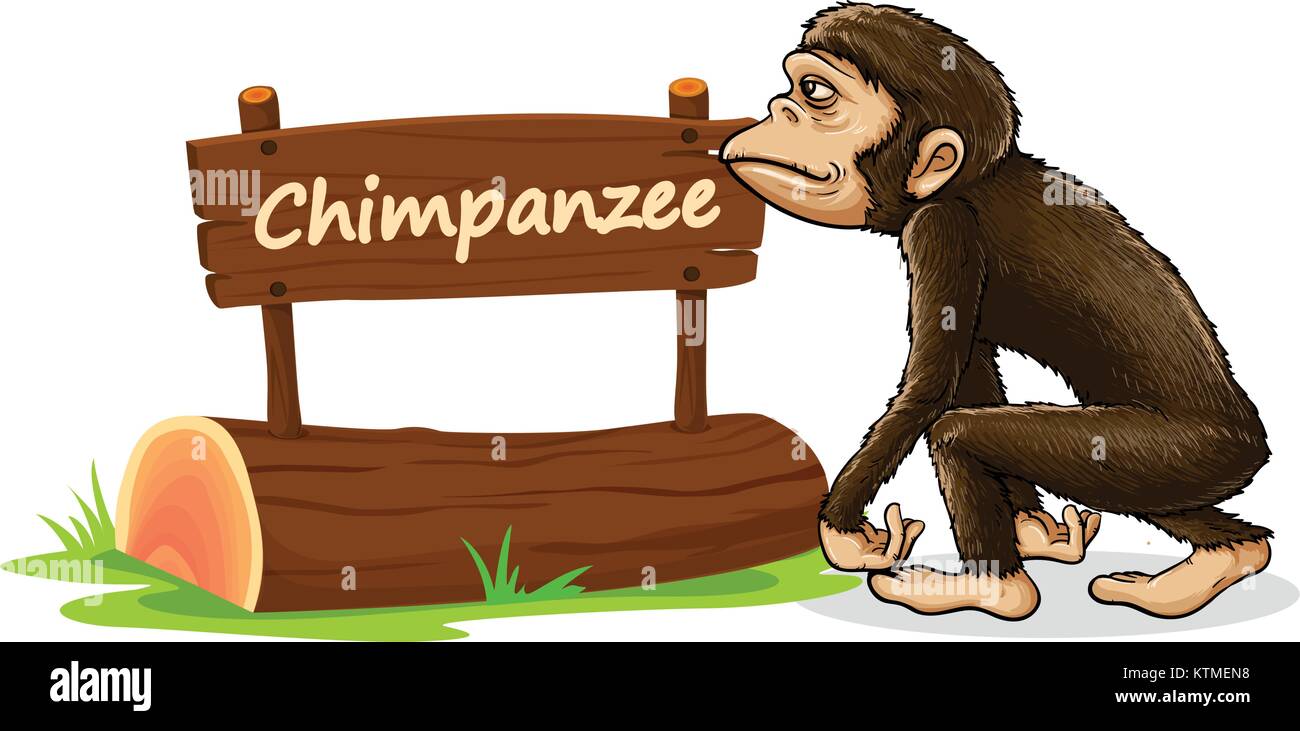 White Chimpanzee Name
