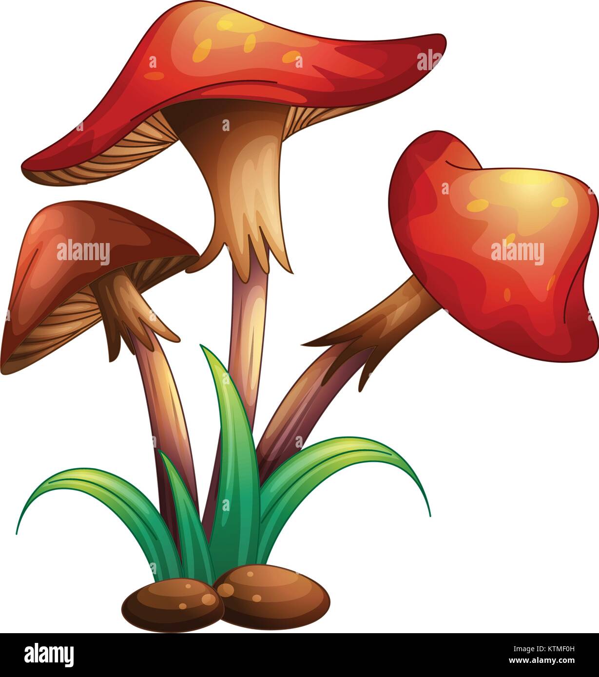 illustration of red mushrooms on a white background Stock Vector Image ...