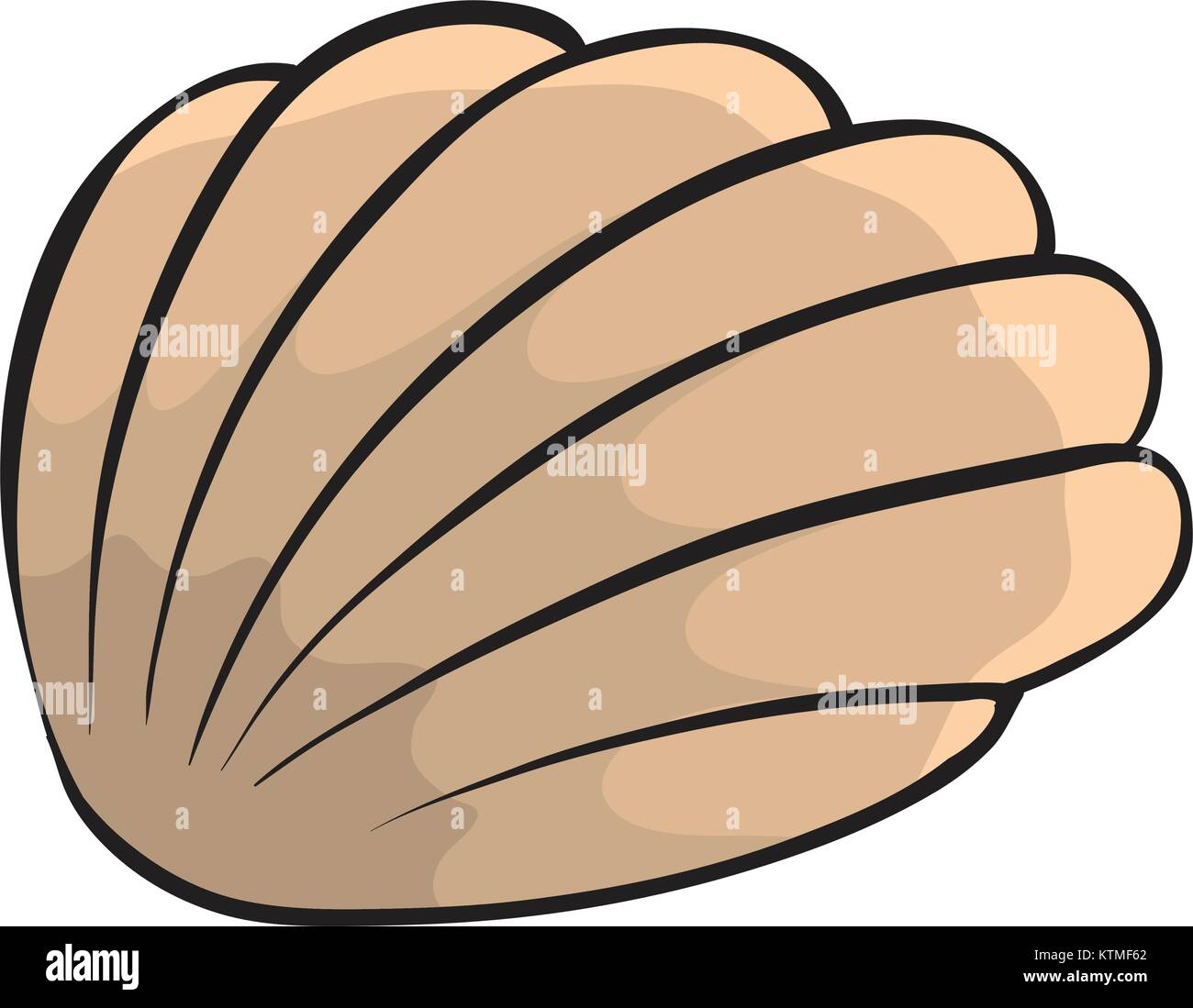 illustration of a shell on a white background Stock Vector Image & Art ...