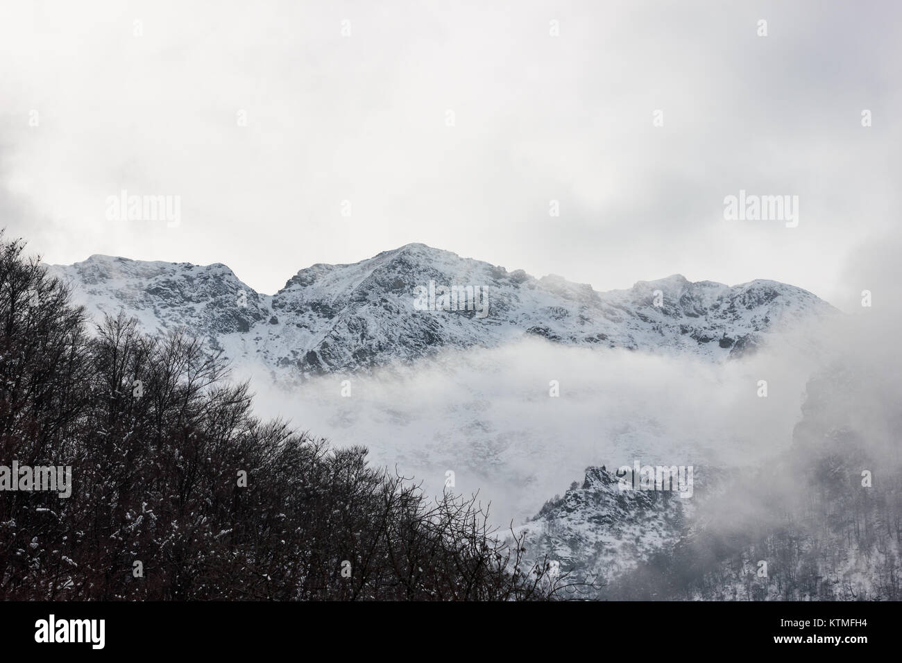 Peaks of Alpine Mountains sprout from the fog, rich atmosphere of charm ...