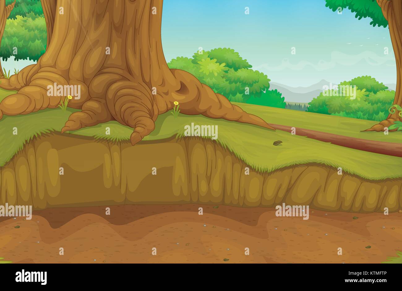 Forest scene at trunk of tree Stock Vector Image & Art - Alamy