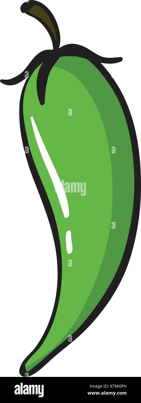 illustration of a green chili on a white background Stock Vector Image ...