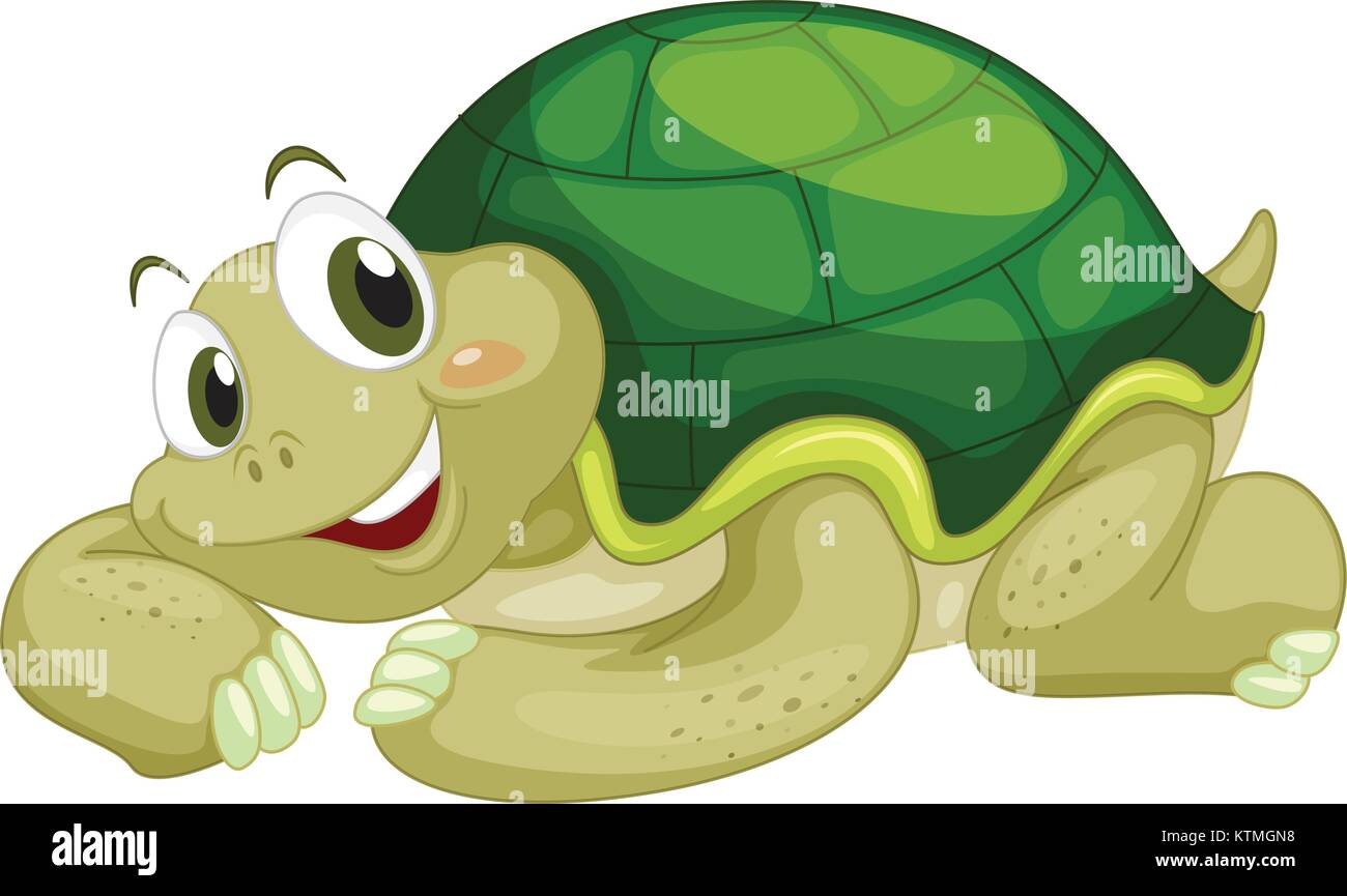Animated turtle on a white background Stock Vector Image & Art - Alamy