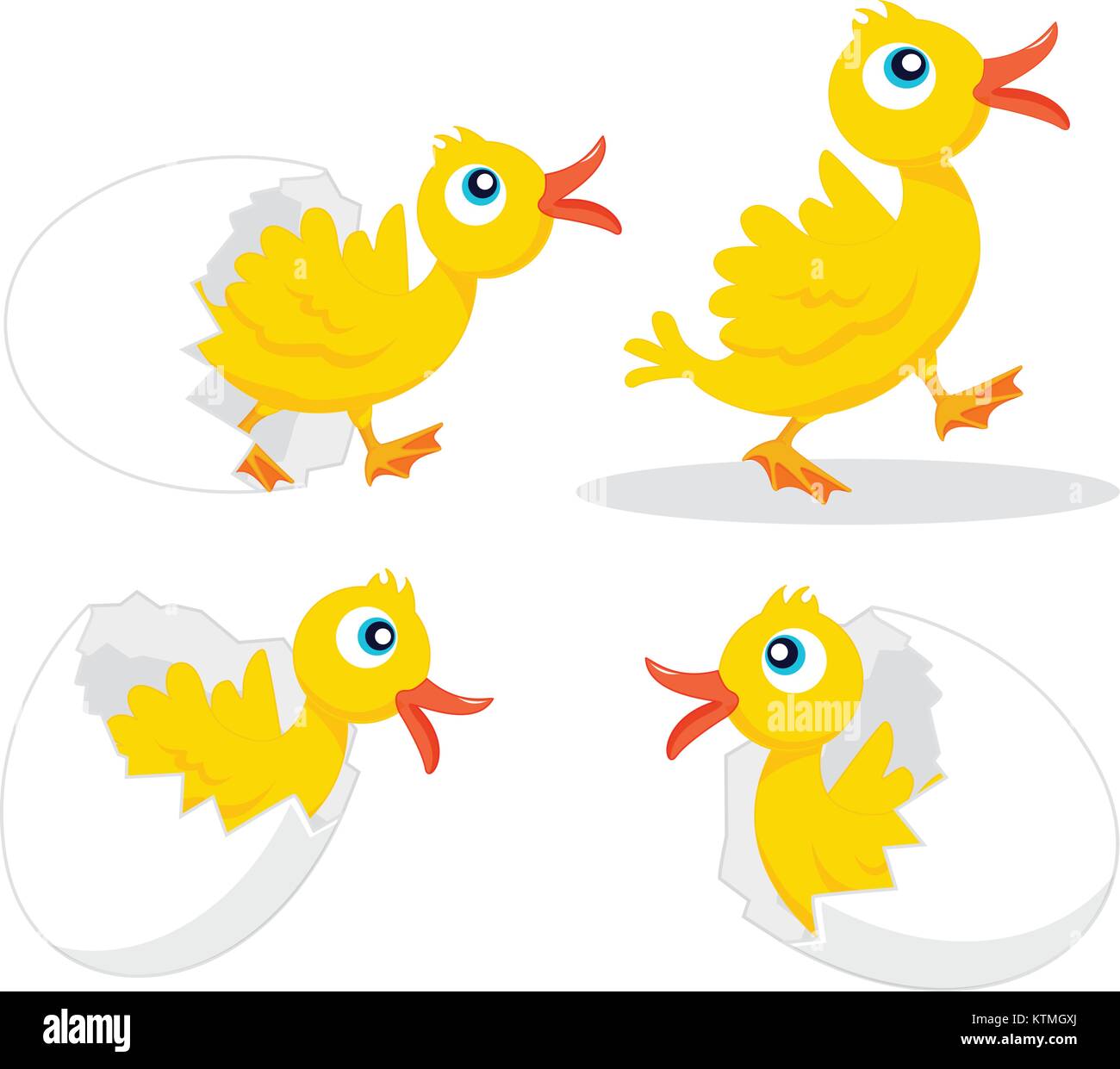Illustration of four chicks hatching Stock Vector Image & Art - Alamy