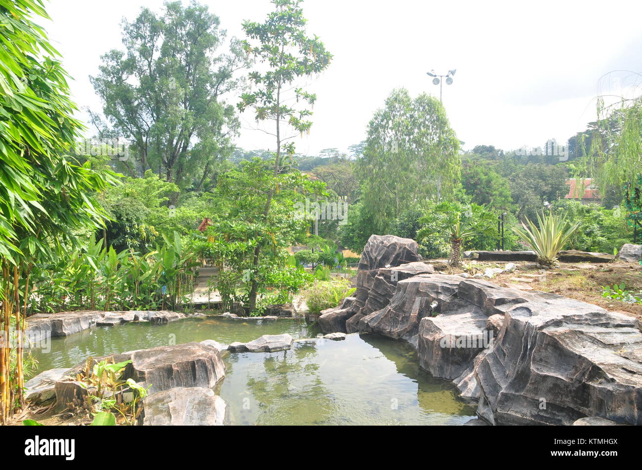 park and pond Stock Photo - Alamy