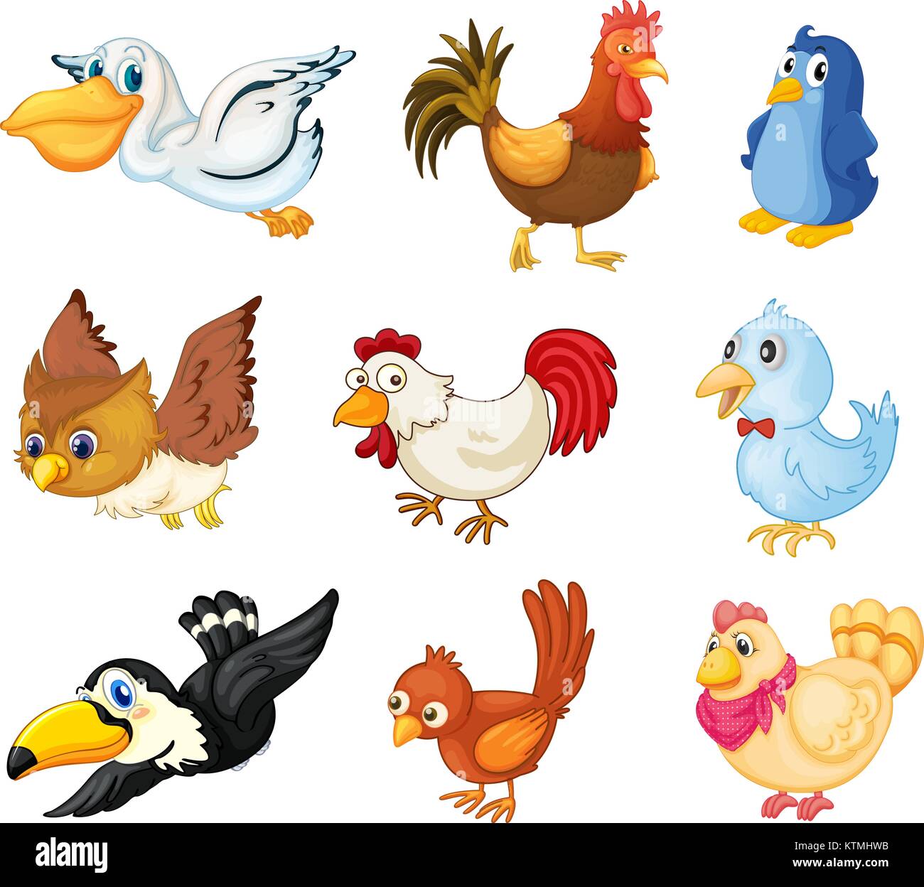 Series of bird illustrations on white Stock Vector Image & Art - Alamy