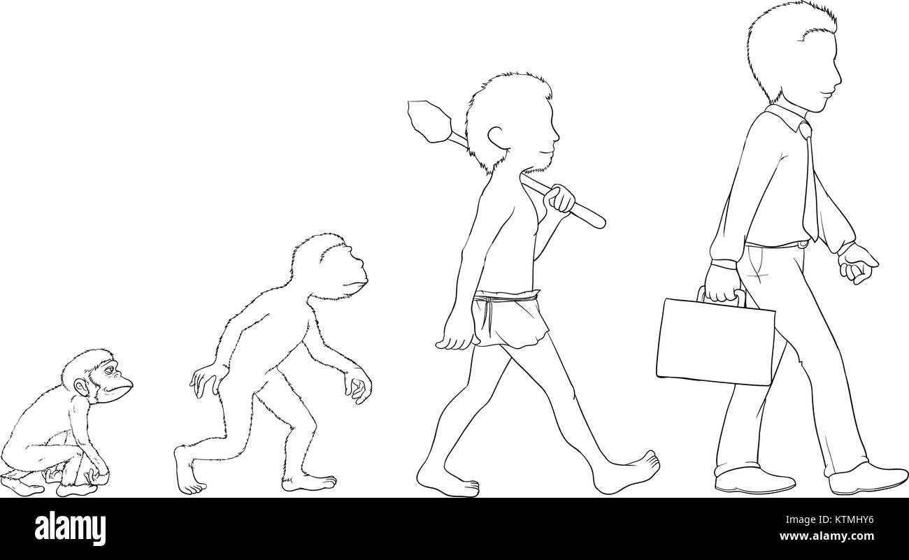 Illustration of evolution outline on white Stock Vector Image & Art - Alamy