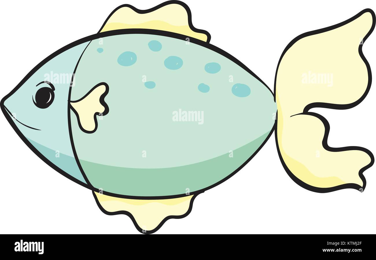 detailed illustration of a fish on a white background Stock Vector ...