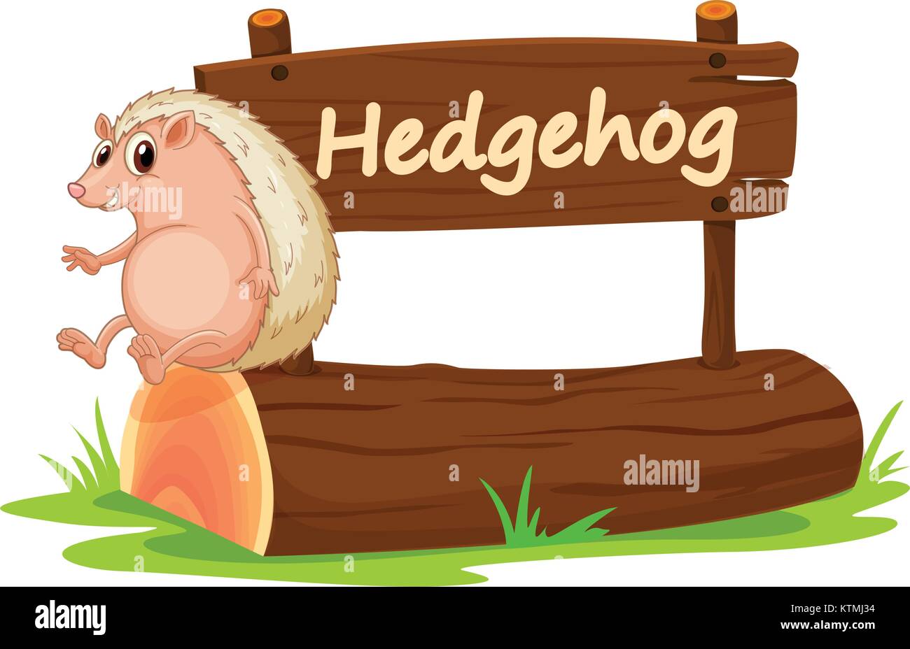 1 green wooden hedgehog Stock Vector Images - Alamy