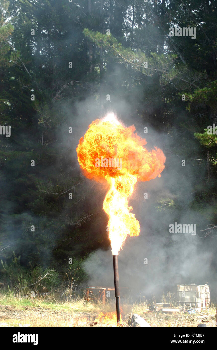 Flare burning off gas and oil at Niagara 1 oil well, West Coast, South ...