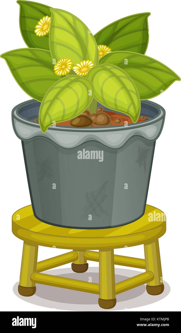 illustration of a pot plant on a stool Stock Vector Image & Art - Alamy