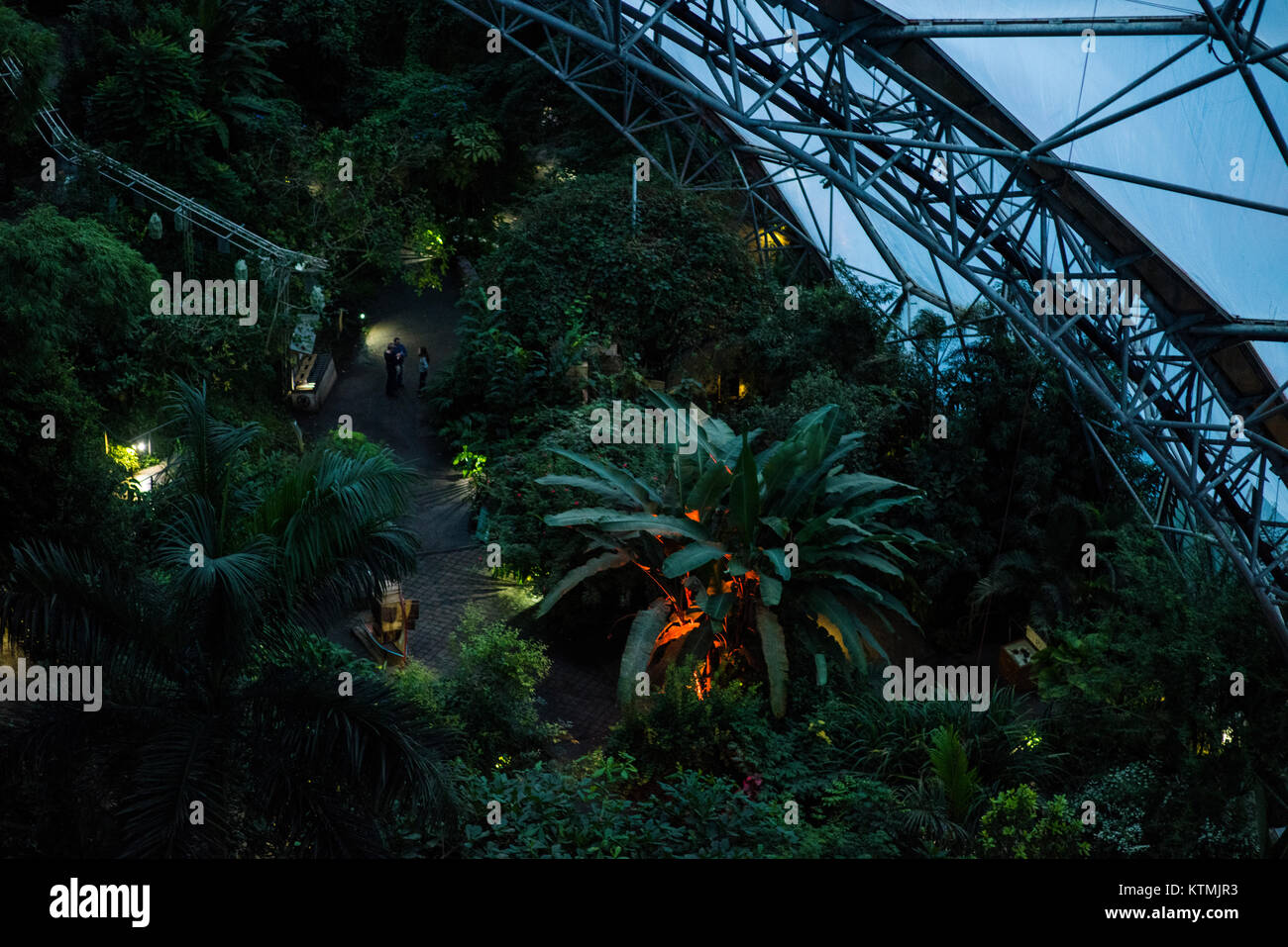 Lit sections of the Rainforest Biome at the Eden Project Stock Photo ...
