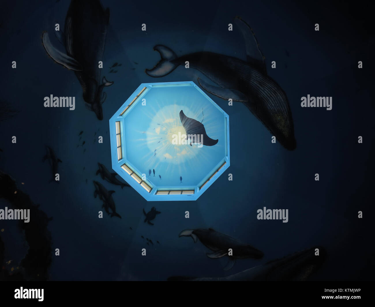 Navy hawaii hi-res stock photography and images - Alamy