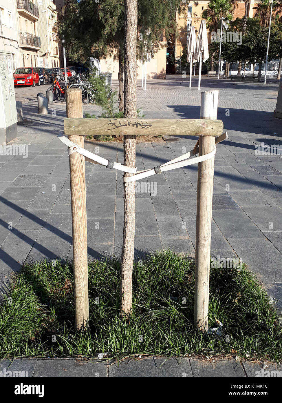 Staking program hi-res stock photography and images - Alamy