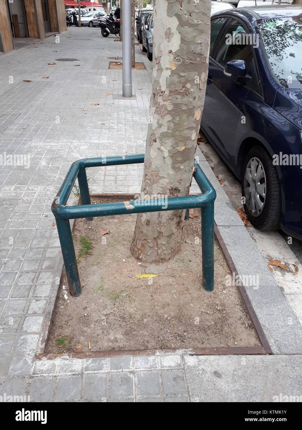 Tree guards damage from hi-res stock photography and images - Alamy