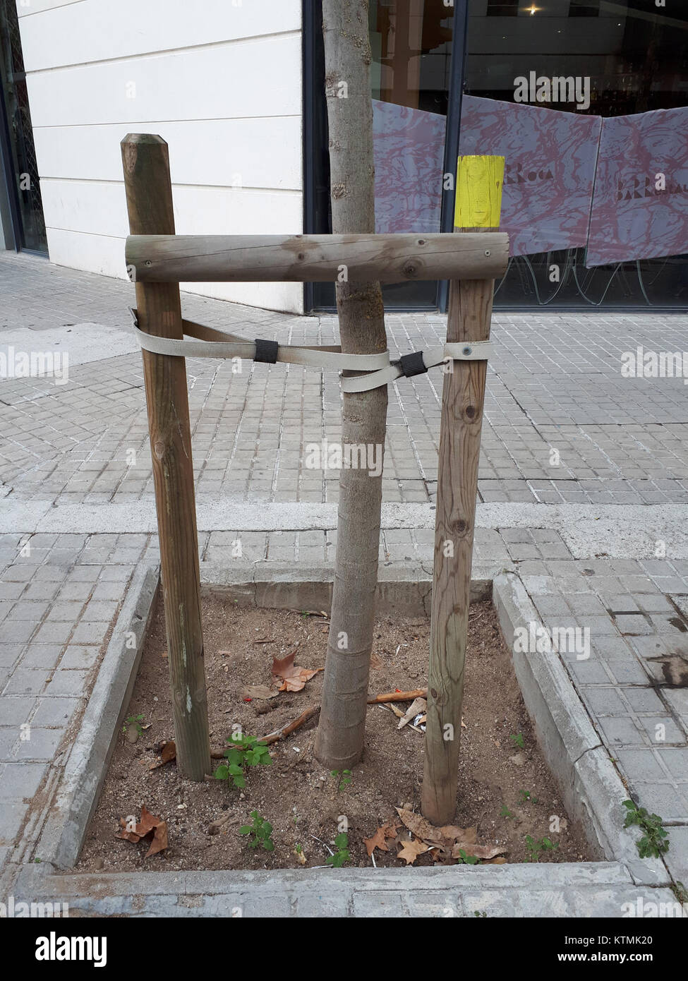 Staking technique hi-res stock photography and images - Alamy