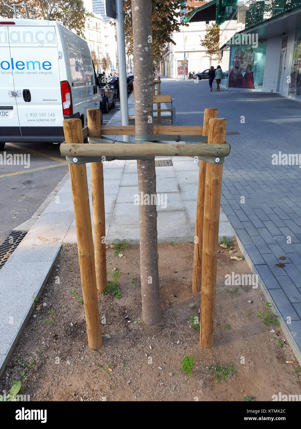Staking a tree hi-res stock photography and images - Alamy