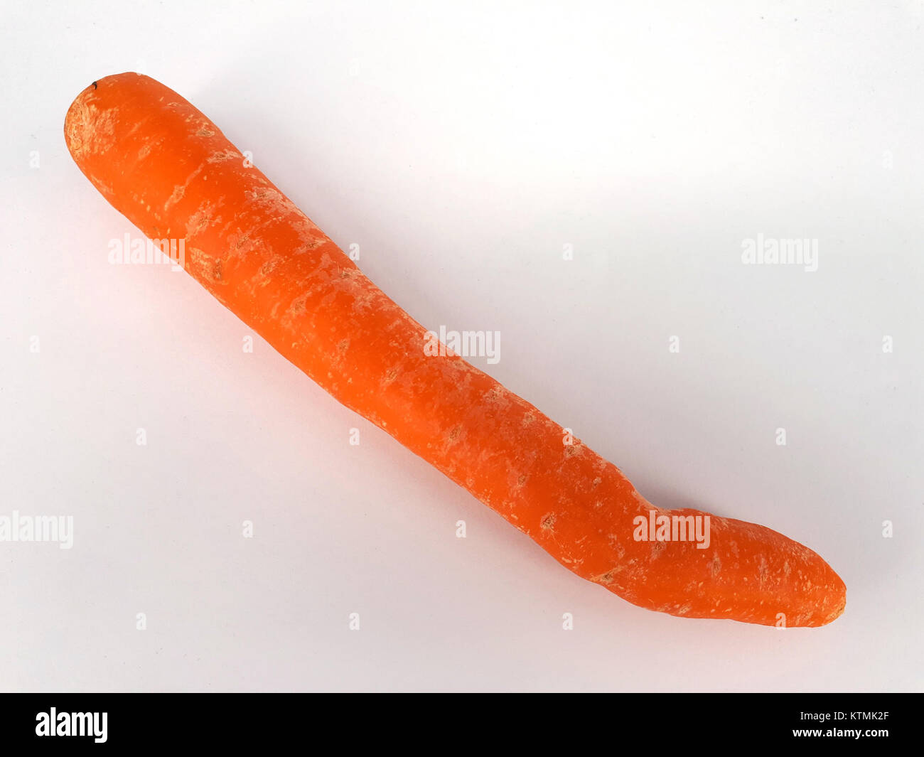 A photograph of a bent carrot taken in 2017, highlighting an unusual ...