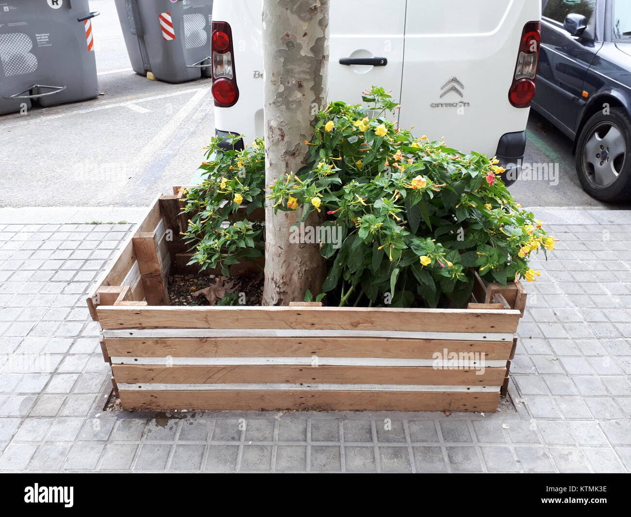 A tree pit fence in Barcelona, designed in 2017, reflects the city's ...