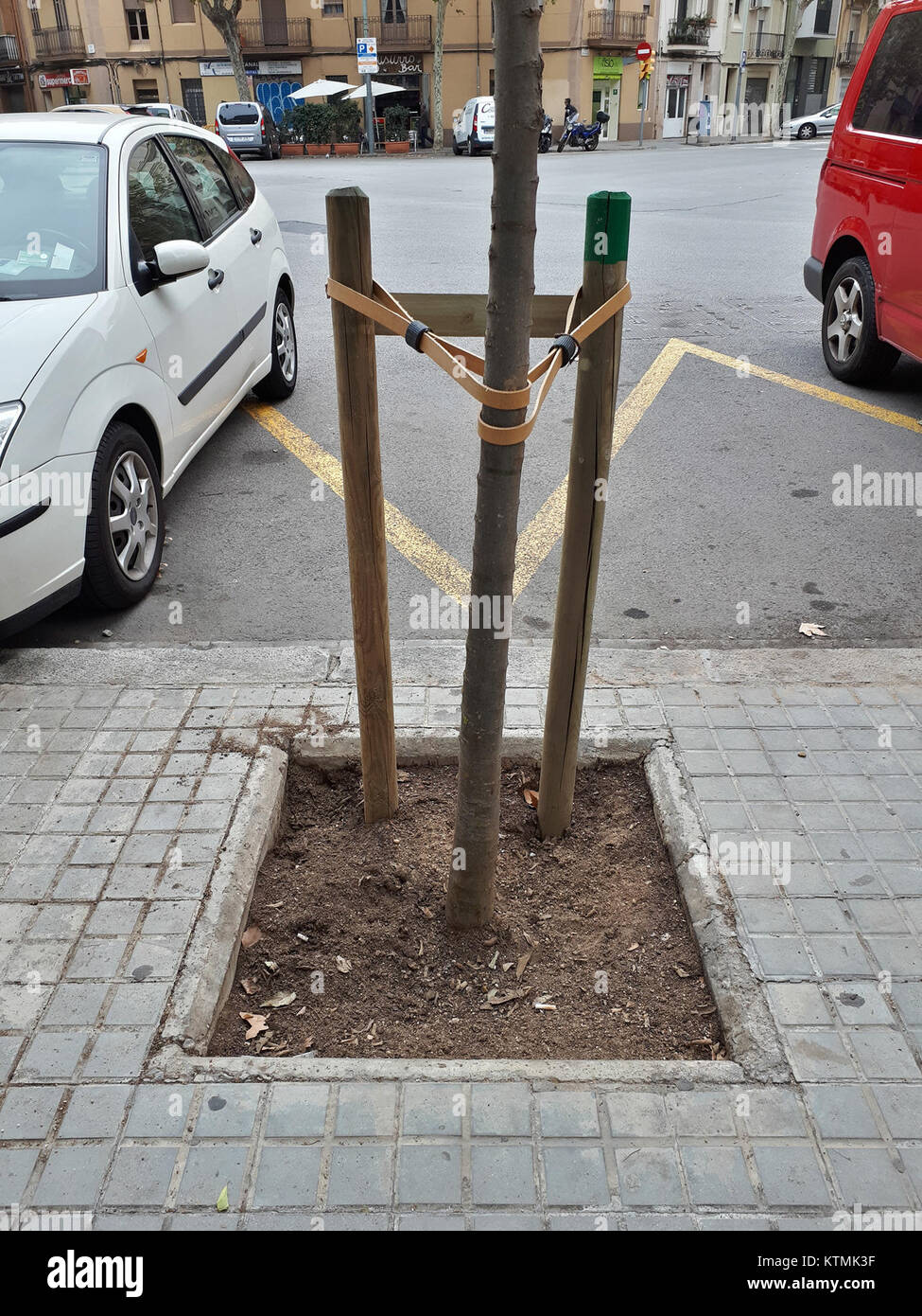 Staking hi-res stock photography and images - Alamy