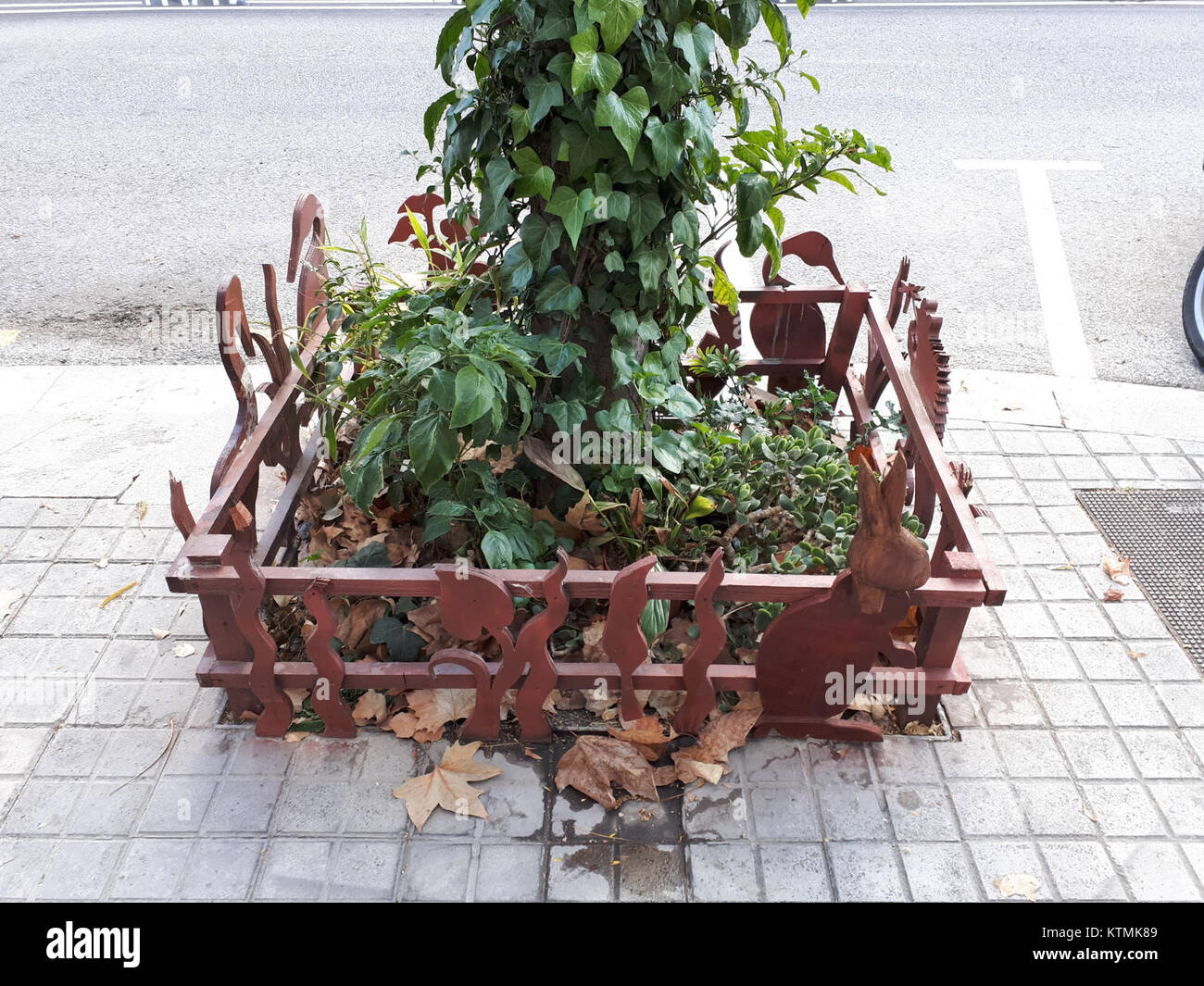 Photograph of a tree pit fence in Barcelona, taken in 2017 ...