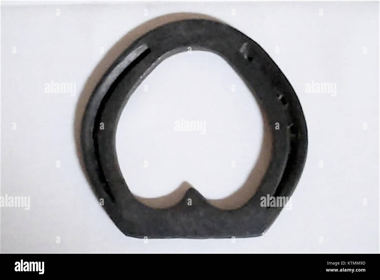 A bar shoe is a type of horseshoe designed to support the hoof and ...