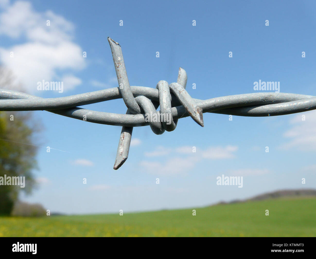 This photograph of barbed wire, taken in 1969, reflects the use of this ...