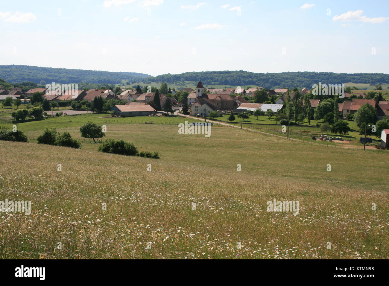 Cerre hi-res stock photography and images - Alamy