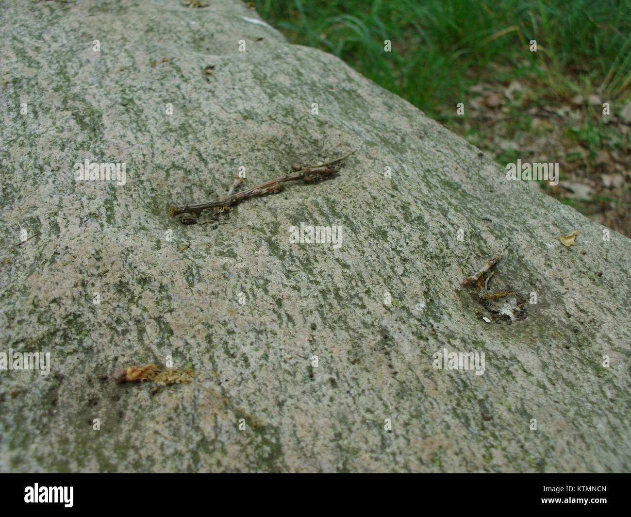Burial of the early neolithic period hi-res stock photography and ...