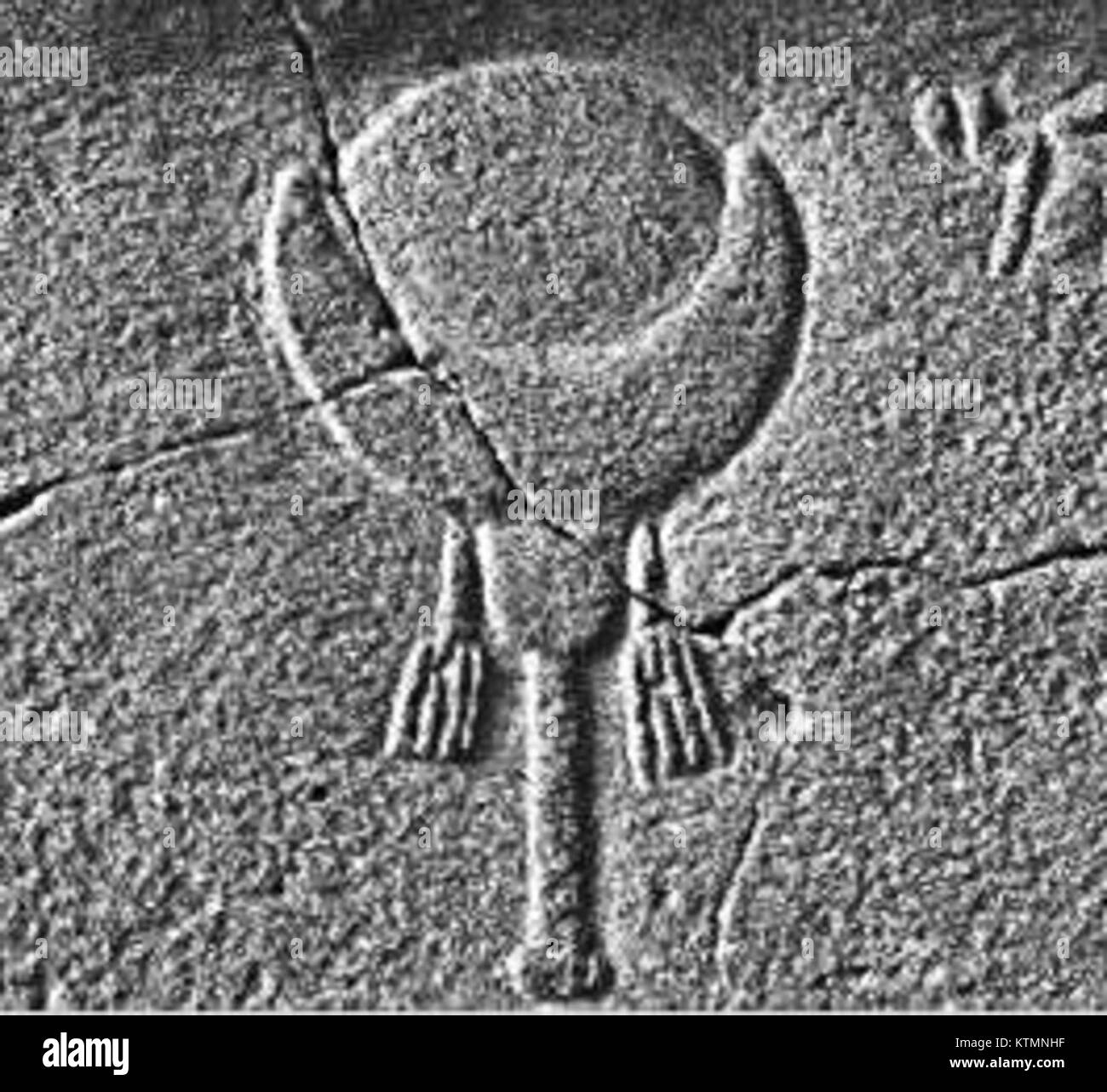 Toronto residential neighborhoods hi-res stock photography and images ...