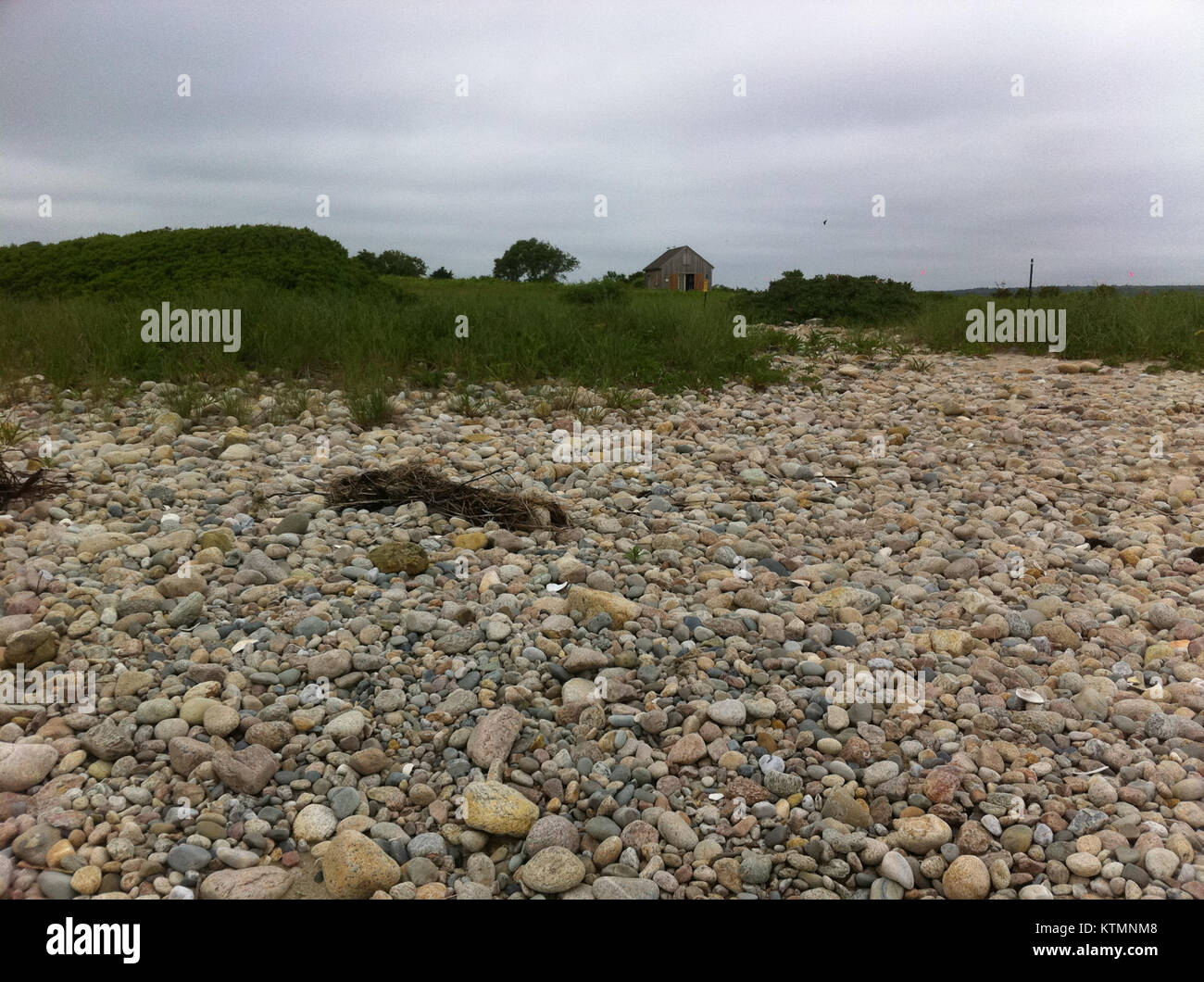 Environmental center hi-res stock photography and images - Alamy