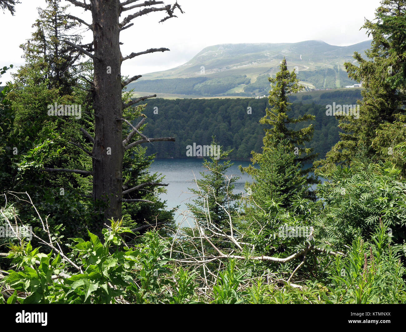 Besse Lac Pavin is a natural lake located in the Auvergne region of ...