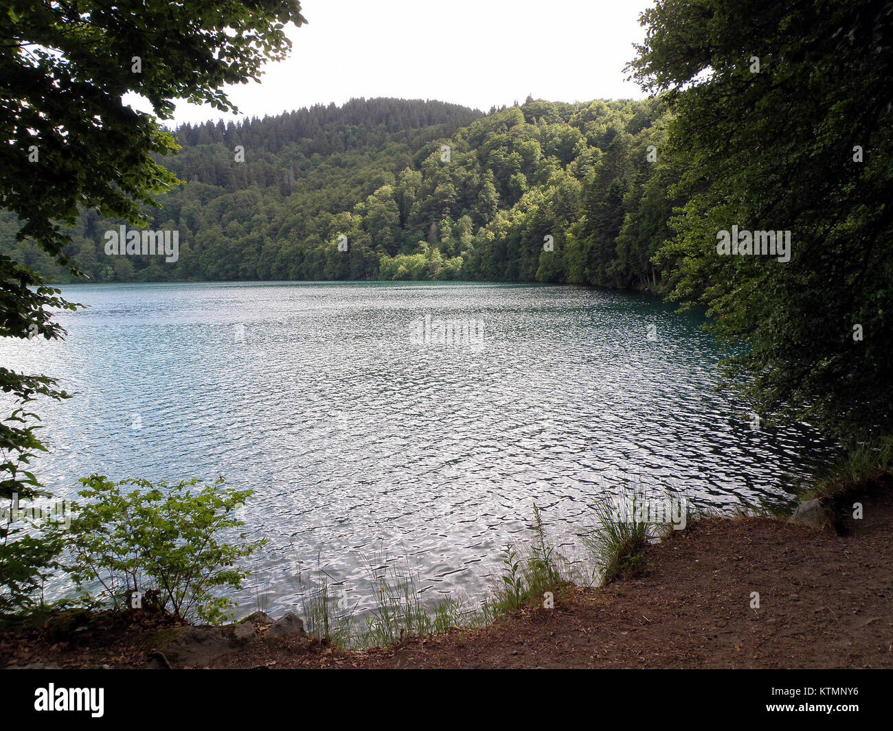 Lac Pavin is a crater lake located in the Auvergne region of France ...